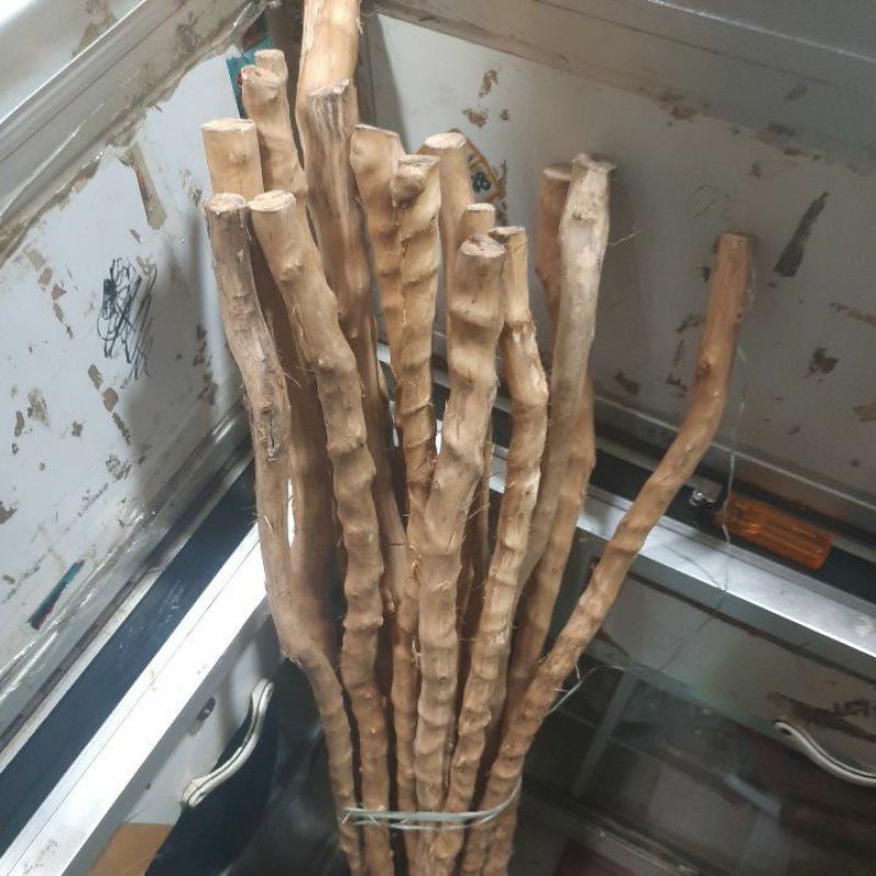 Jual kayu putar alam/ulas asli hutan kalimantan | Shopee Indonesia