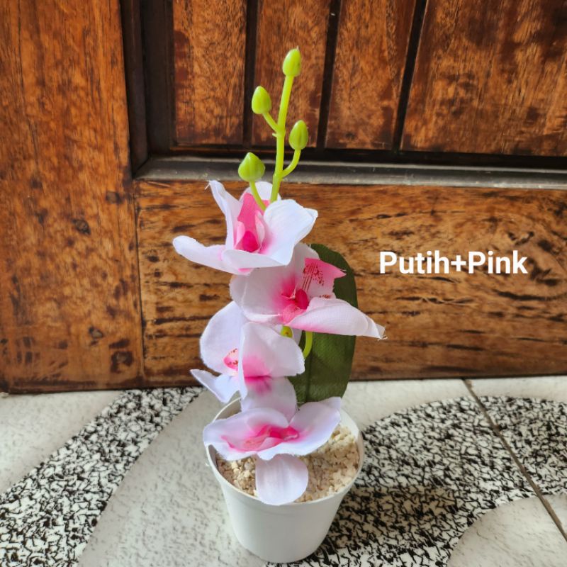 Jual Bunga Anggrek 4 kuntum + Vas Set Murah | Shopee Indonesia