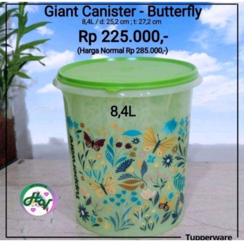 Jual giant canister butterfly / giant canister tupperware / toples ...