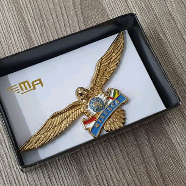 Jual Brevet Wing Minusca Libanon Gold Brivet Pin | Shopee Indonesia
