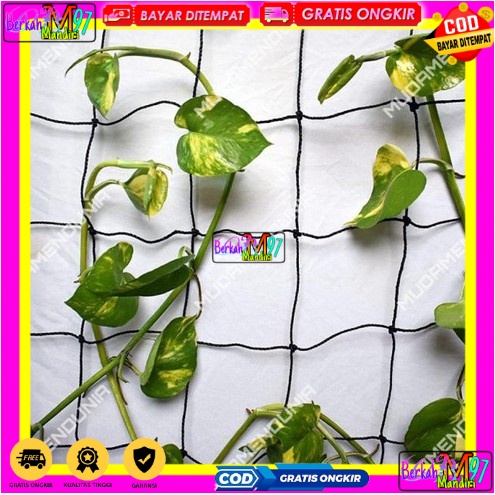 Jual Jaring Rambatan Tanaman/buah Plant Climbing Net MURAH | Shopee Indonesia
