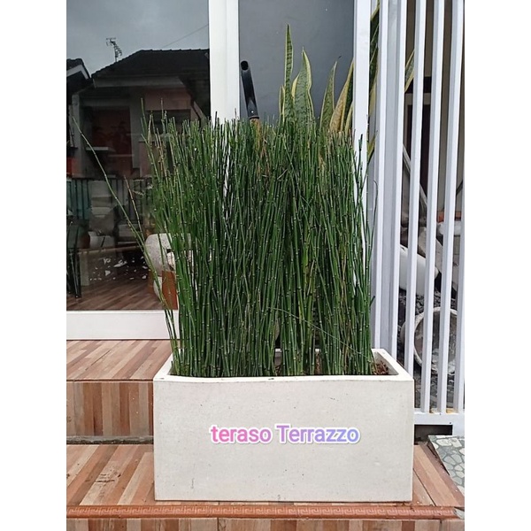 Jual Pot Bambu Air Teraso / terazzo | Shopee Indonesia