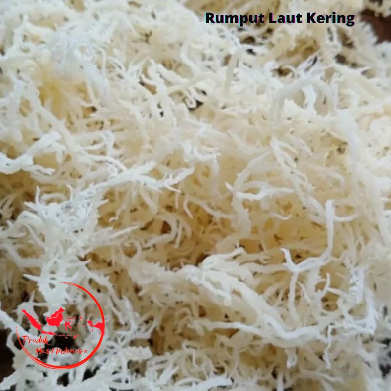 Jual Rumput Laut Hijau Basa Hasil Budidaya | Shopee Indonesia