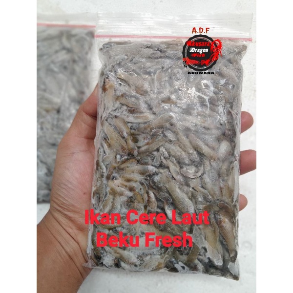 Jual Ikan Cere Laut Beku Fresh Pakan Ikan Dll | Shopee Indonesia