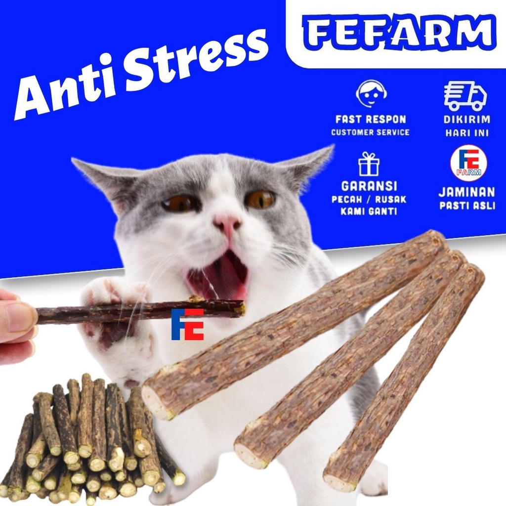 Jual Catnip Kucing Stick Snack Mainan Kucing Natural Matabi Cat Toys ...