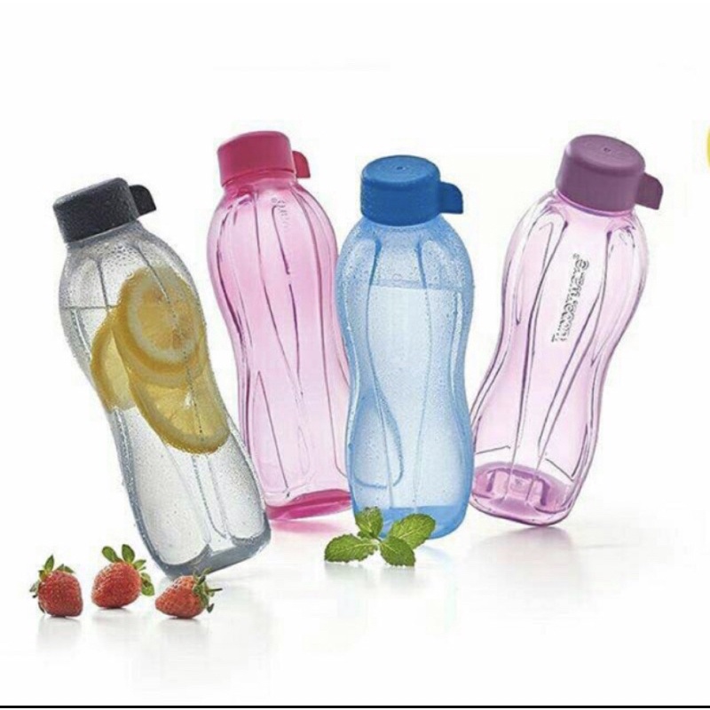 Jual eco botol 500 ml tupperware | Shopee Indonesia