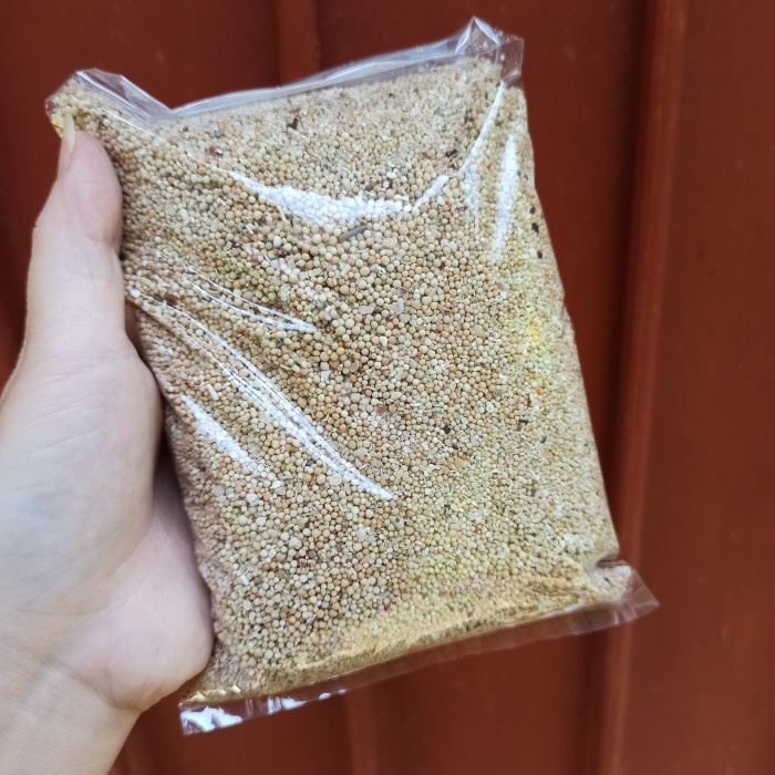 Jual Pasir Pantai Bali Halus Bersih Resin Properti Akuarium Aquascape ...