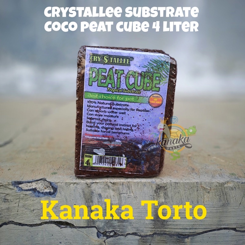 Jual Coco Peat Cube Substrate Alas Kandang Reptil Amphibi Kodok Pacman ...