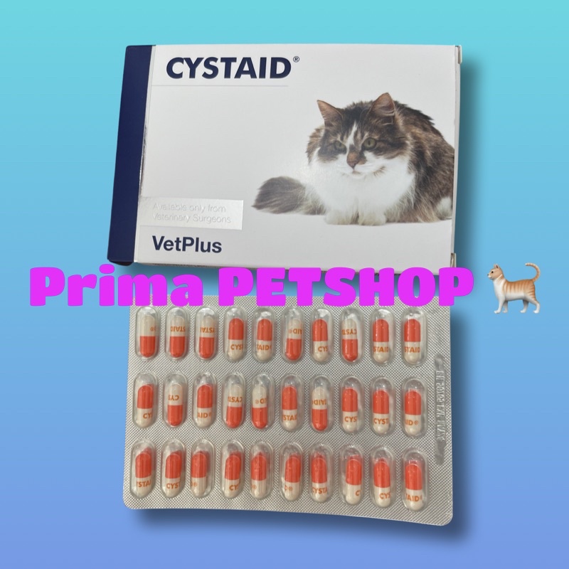 Jual Cystaid Vet plus obat saluran kemih urinary kucing perkapsul ...