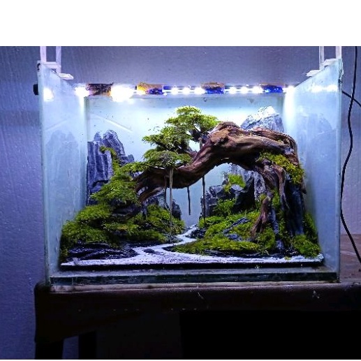 Jual hardscape aquascape | Shopee Indonesia Jual hardscape aquascape | Shopee Indonesia
