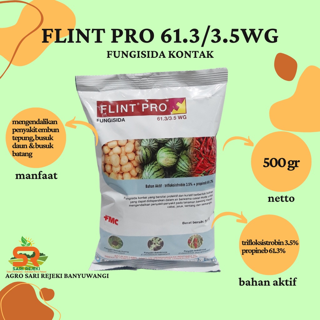 Jual FLINT PRO 61.3/3.5WG 500GR FUNGISIDA (spelialis busuk daun dan busuk batang) | Shopee Indonesia