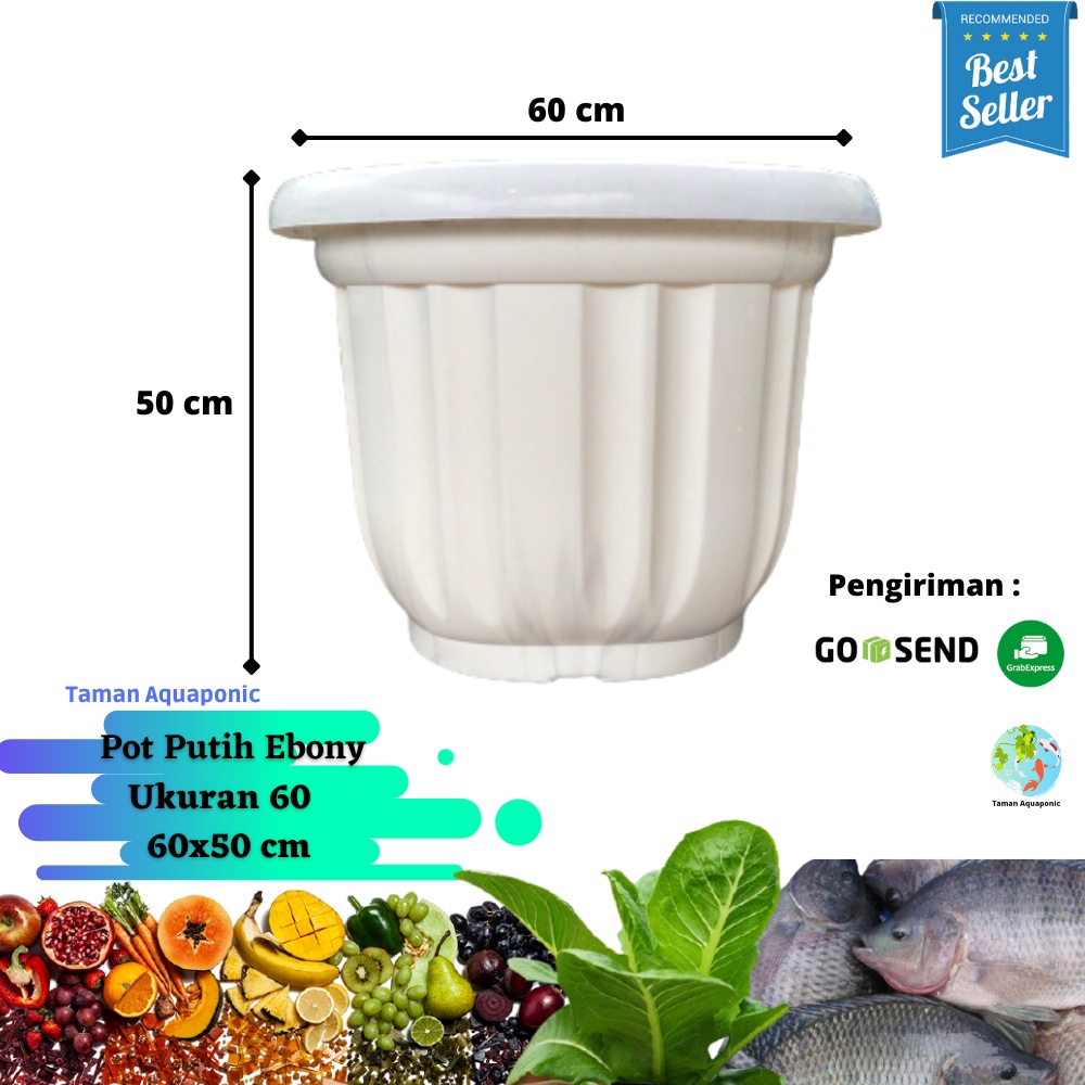 Jual Pot Putih Ebony 60 | Shopee Indonesia