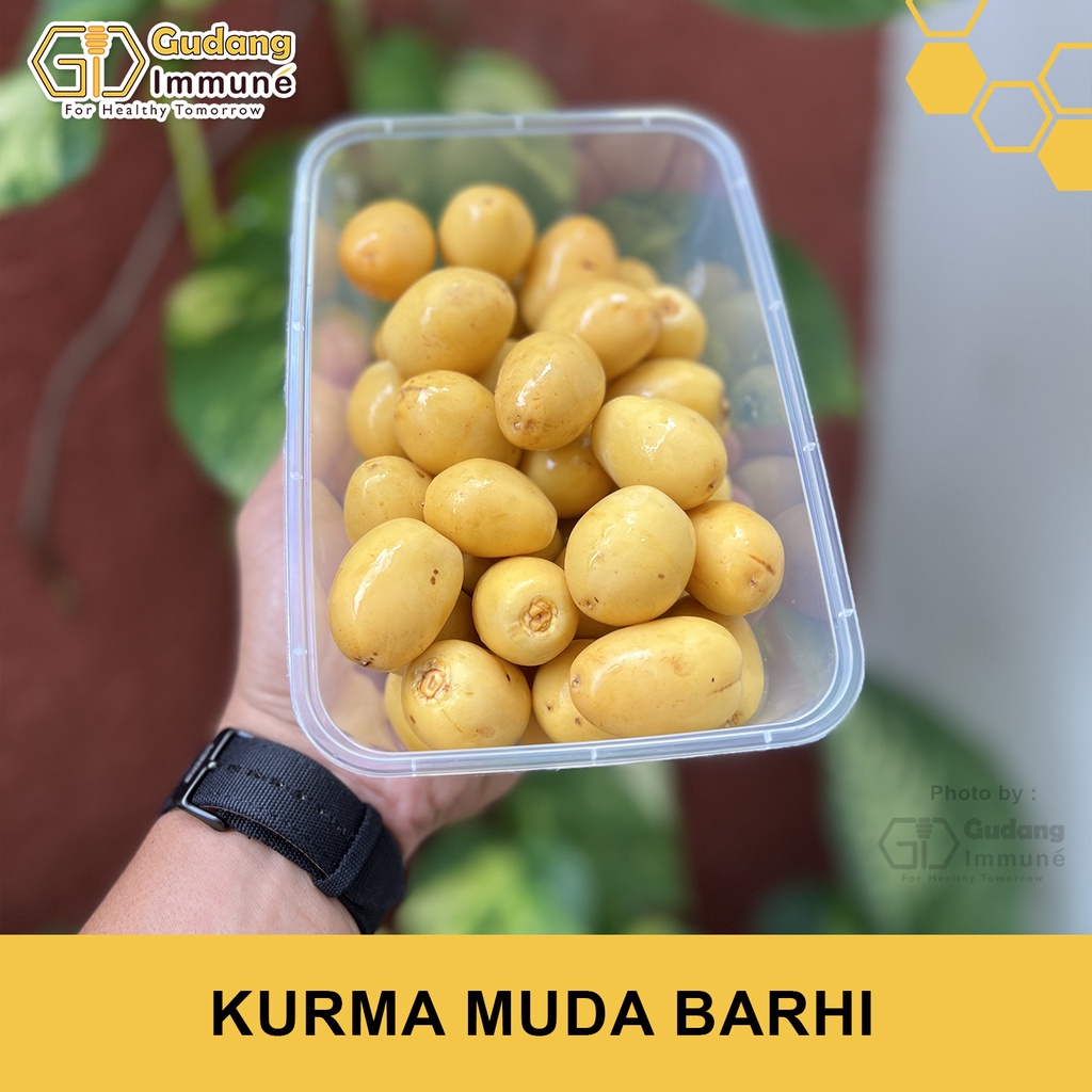 Jual Kurma Muda Kuning Barhi Ruthob Ruthab Rutob 1kg 500gr - Gudang ...