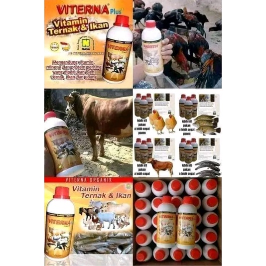 Jual VITERNA Vitamin ternak NASA penggemuk hewan | Shopee Indonesia
