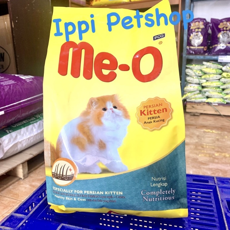 Jual Meo Persian Kitten 1.1kg Meo kitten persian 1.1kg meo persia ... Jual Meo Persian Kitten 1.1kg Meo kitten persian 1.1kg meo persia ...