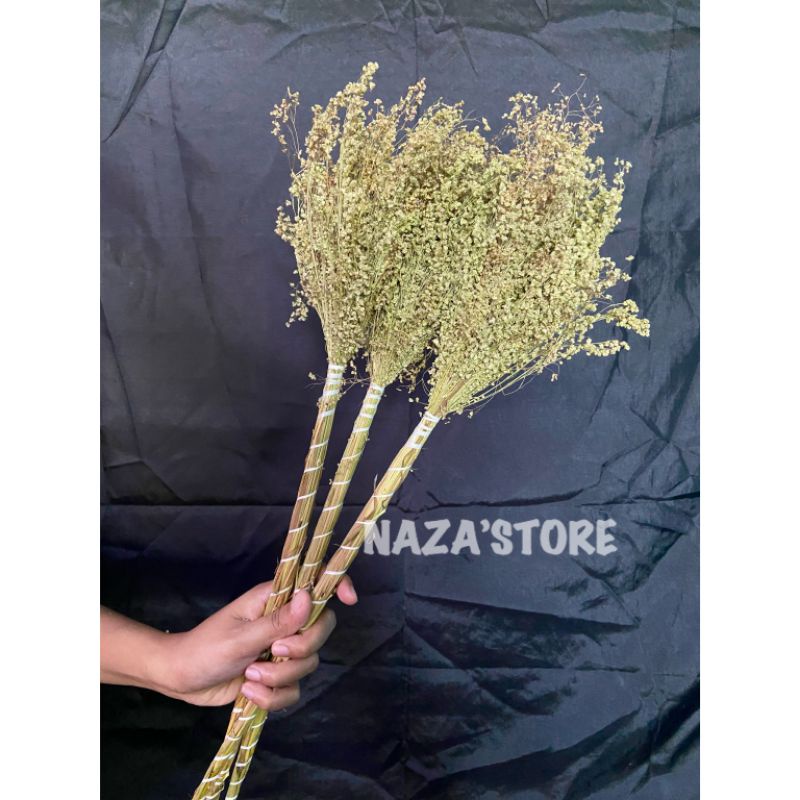 Jual Bunga Kering Rustic Wildery Springkel Padi-padian Lamuran Harga ...