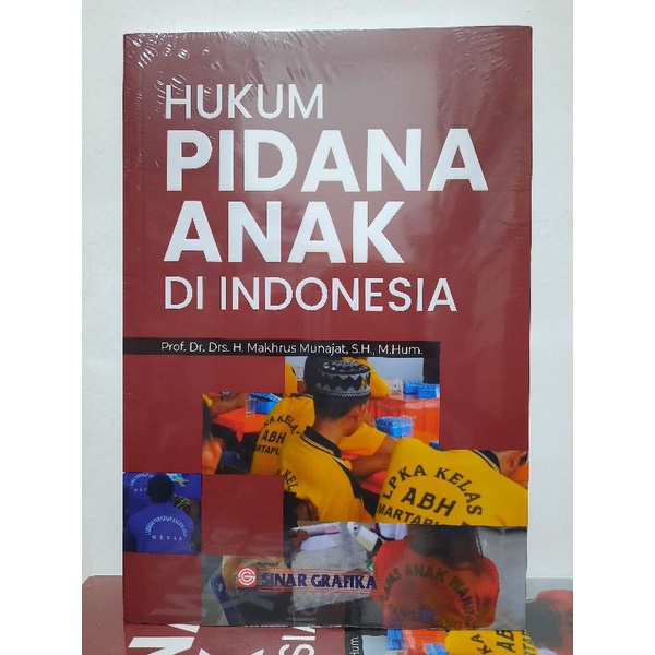 Jual BUKU HUKUM PIDANA ANAK DI INDONESIA - MAKHRUS MUNAJAT - ORI | Shopee Indonesia