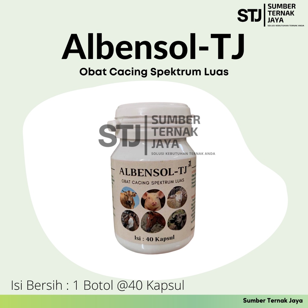 Jual Albensol-TJ 1 Botol isi 40 Kapsul Obat Cacing Kapsul Berspektrum ...