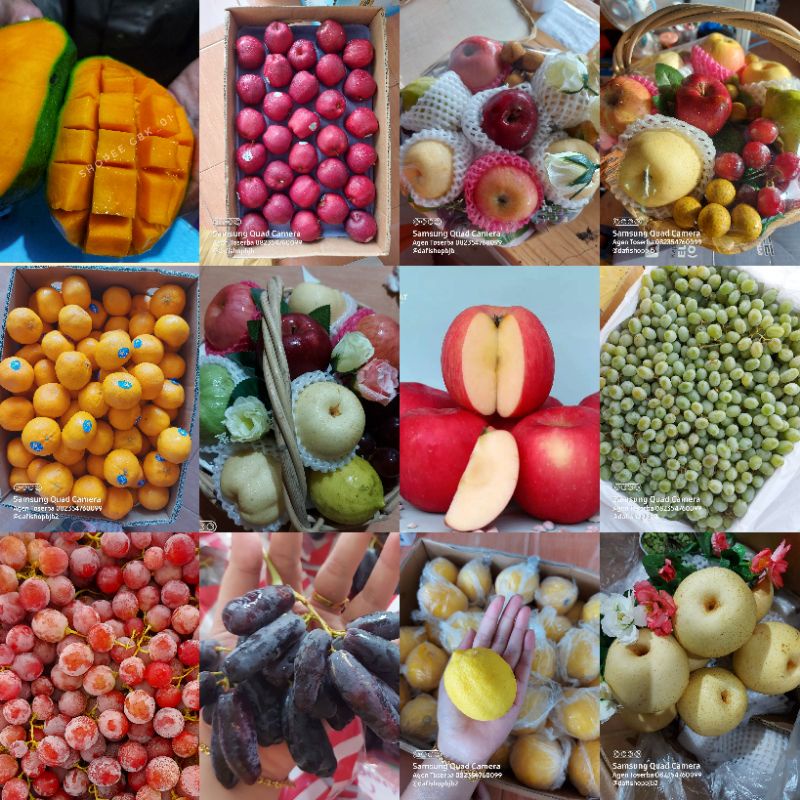 Jual COD 1 KG ANEKA BUAH BUAHAN SEGAR IMPORT DAN LOKAL MANGGA MADU ...