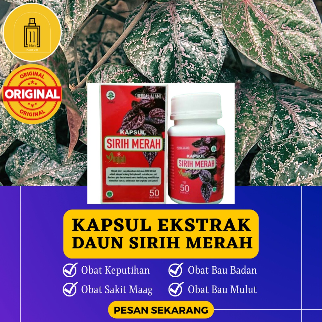 Jual Kapsul Ekstra Daun Sirih Merah 50 Kapsul - Obat Herbal Keputihan ...
