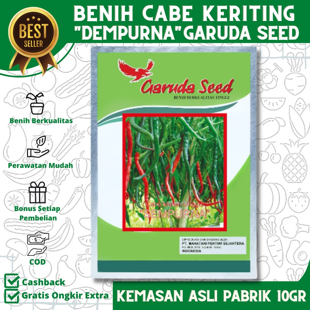 Jual Bibit Cabe Keriting SEMPURNA 10 Gram | Benih Cabe Keriting | Cabai ...
