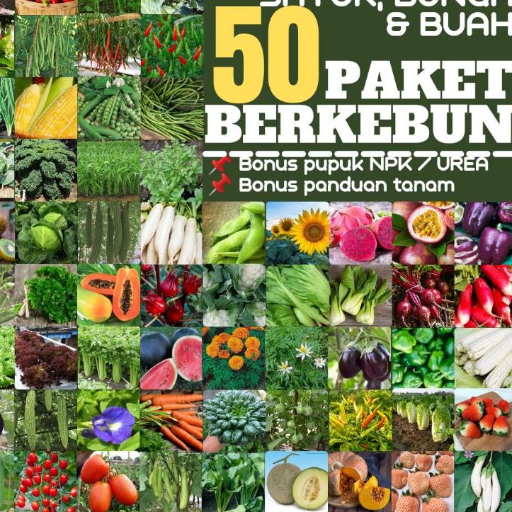 Jual Hanya untuk anda--Paket 50 Jenis benih bibit biji sayur dan buah ...