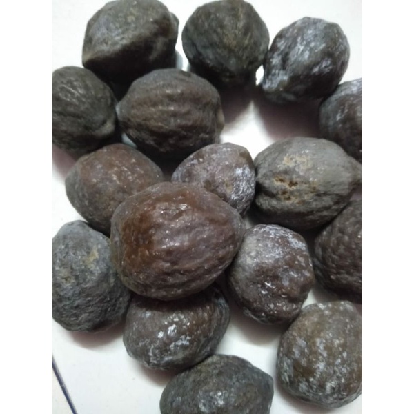 Jual muncang adu jalim silangan jayanti batok tebal | Shopee Indonesia