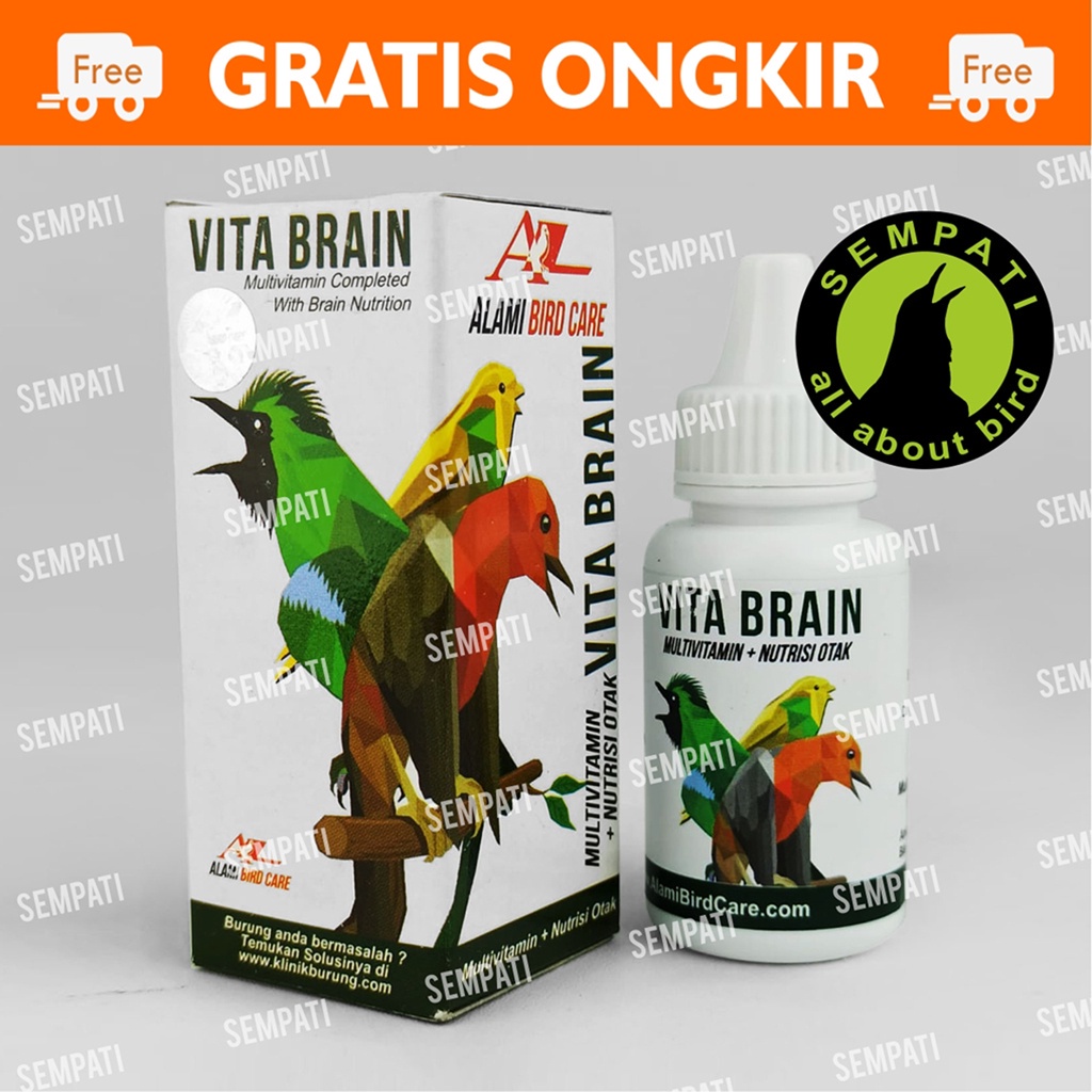 Jual Vita Brain Vitabrain Alami Bird Care Vitamin Burung Lovebird Murai ...