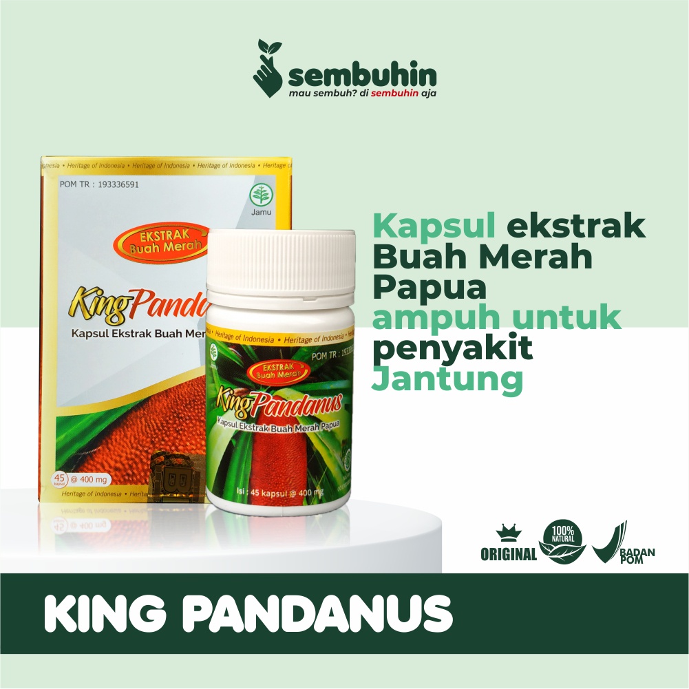 Jual King Pandanus obat Diabetes dan Kanker | King Pandanus ekstrak ... Jual King Pandanus obat Diabetes dan Kanker | King Pandanus ekstrak ...