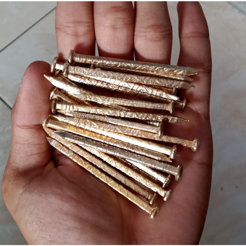 Jual PAKU KUNINGAN UKURAN 15CM | Shopee Indonesia