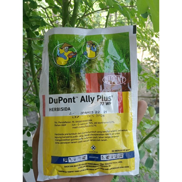 Jual Ally Plus Membasmi alang alang pada tanaman padi 40 gram | Shopee ...