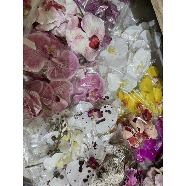 Jual Bunga mahar hantaran seserahan Anggrek Latex 7/12cm | Shopee Indonesia