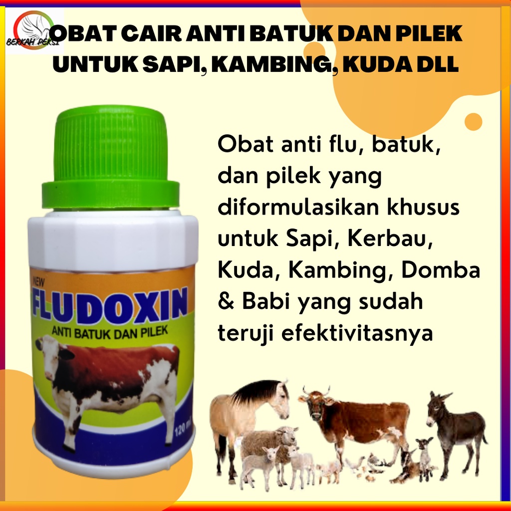Jual OBAT FLU CAIR ANTI BATUK PILEK UNTUK HEWAN TERNAK SAPI KAMBING ...