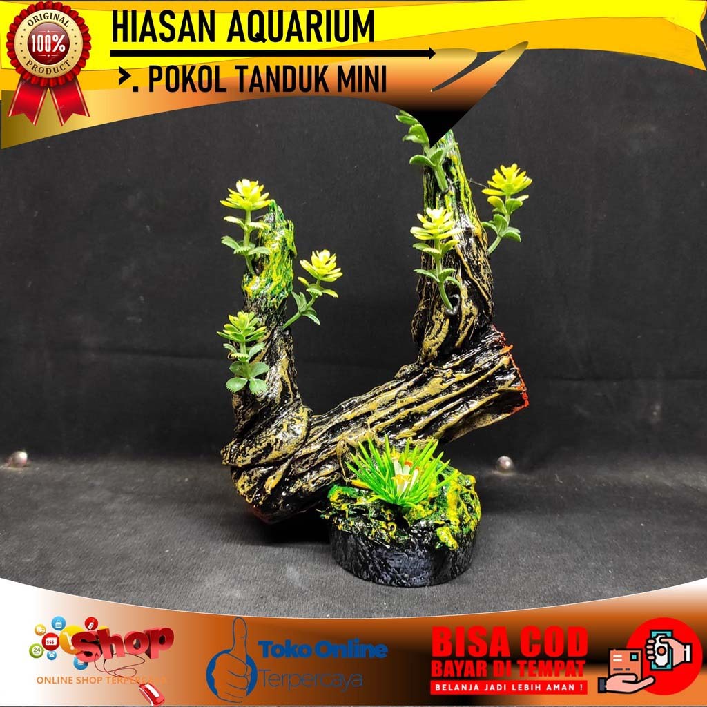 Jual Dekorasi aquarium kayu pongkol, dekorasi aquarium tanaman dan kayu ...