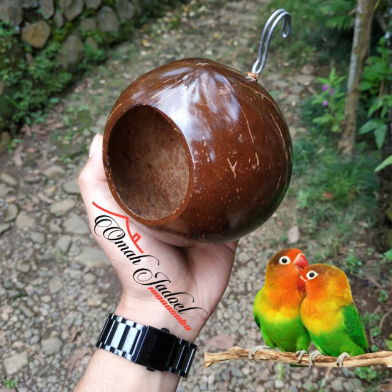 Jual GLODOK BURUNG BATOK KELAPA / Sarang tempat sembunyi LOVEBIRD ...