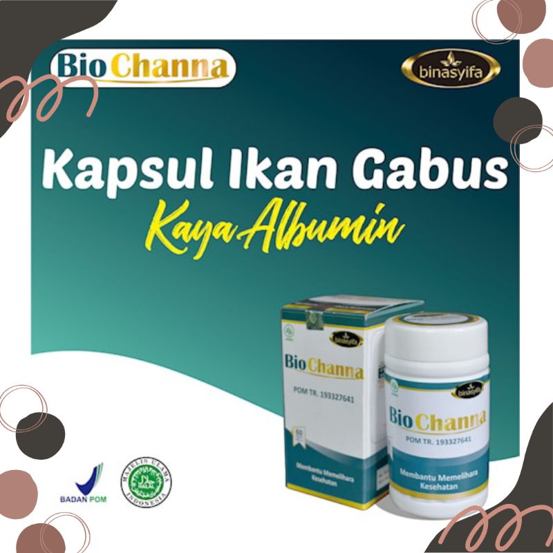 Jual Obat Kesehatan Ikan Gabus Penyembuh Luka Operasi | Shopee Indonesia