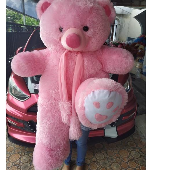 Jual Recomended Boneka teddy bear jumbo / boneka beruang jumbo syal ...