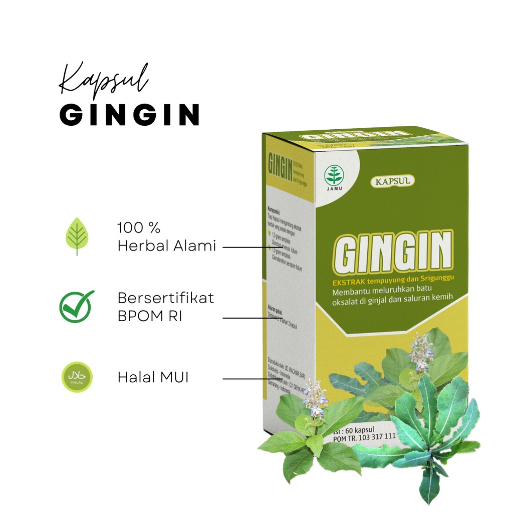 Jual Gingin Obat Herbal Membantu Mengobati Batu Ginjal Gin Gin Isi 60 ...