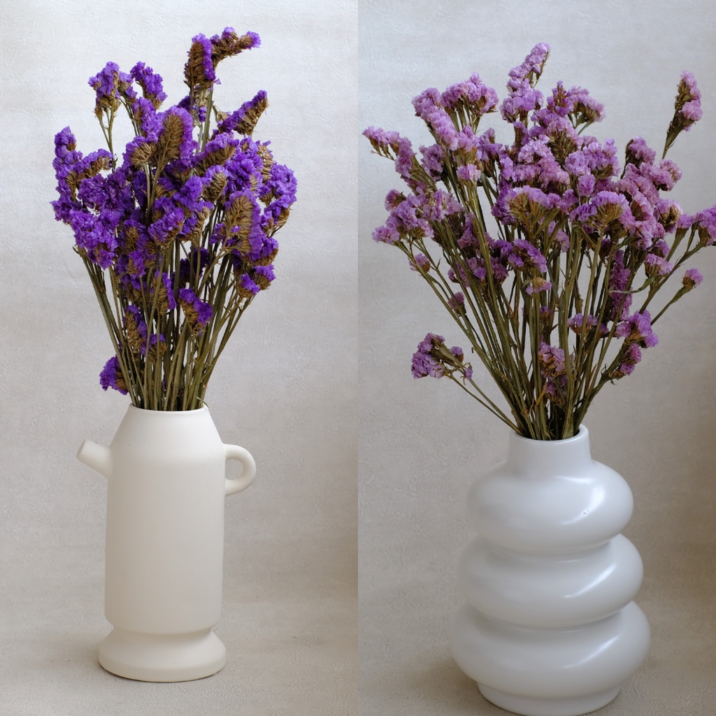 Jual Preserved Flower Wood Forget-me-not / Myosotis sylvatica / Dried ...