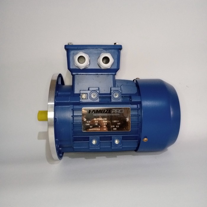 Jual Motor Listrik Famoze Pro Dinamo 0,25 Hp 1500 Rpm 3 Phase Gl 1/4 Pk Flange B5 | Shopee Indonesia