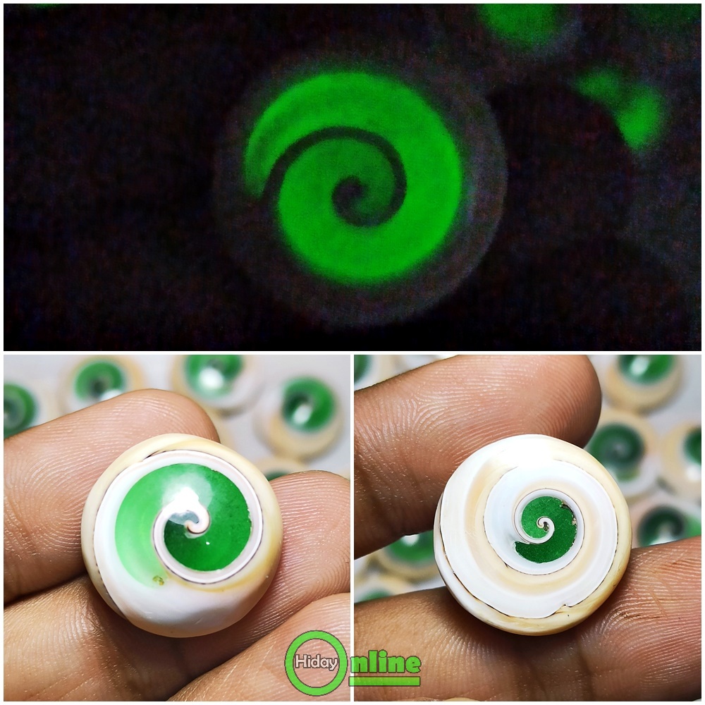 Jual BATU AKIK KEONG POSFOR PUSAR BUMI FOSFOR NYALA DALAM GELAP ...