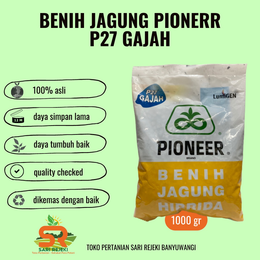 Jual BENIH JAGUNG HIBRIDA PIONEER P27 LUMIGEN 1KG | Shopee Indonesia