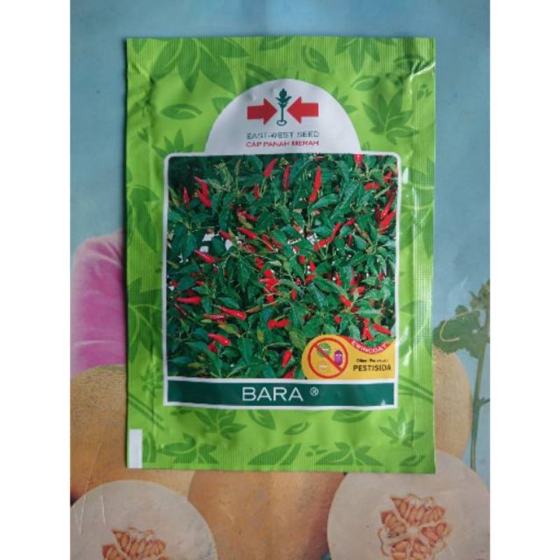 Jual Bibit Cabe Rawit BARA | Shopee Indonesia