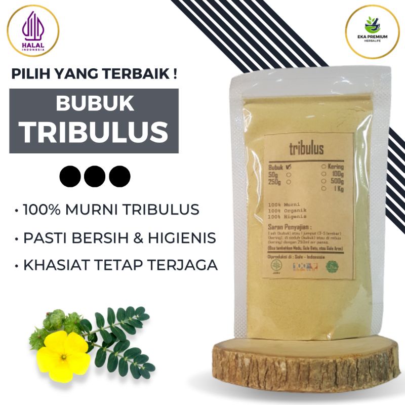 Jual TRIBULUS BUBUK Kering Asli Jamu Obat Tradisional Organik Ekstrak ...