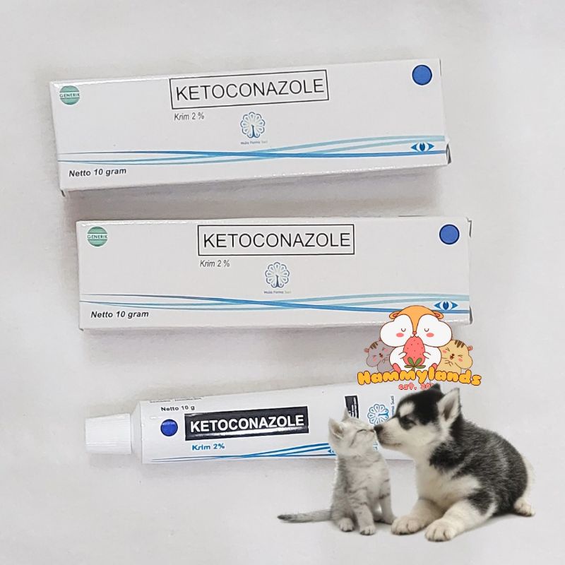 Jual Obat Jamur Kucing - Salep Jamur Kucing Anjing Ketoconazole Obat ...
