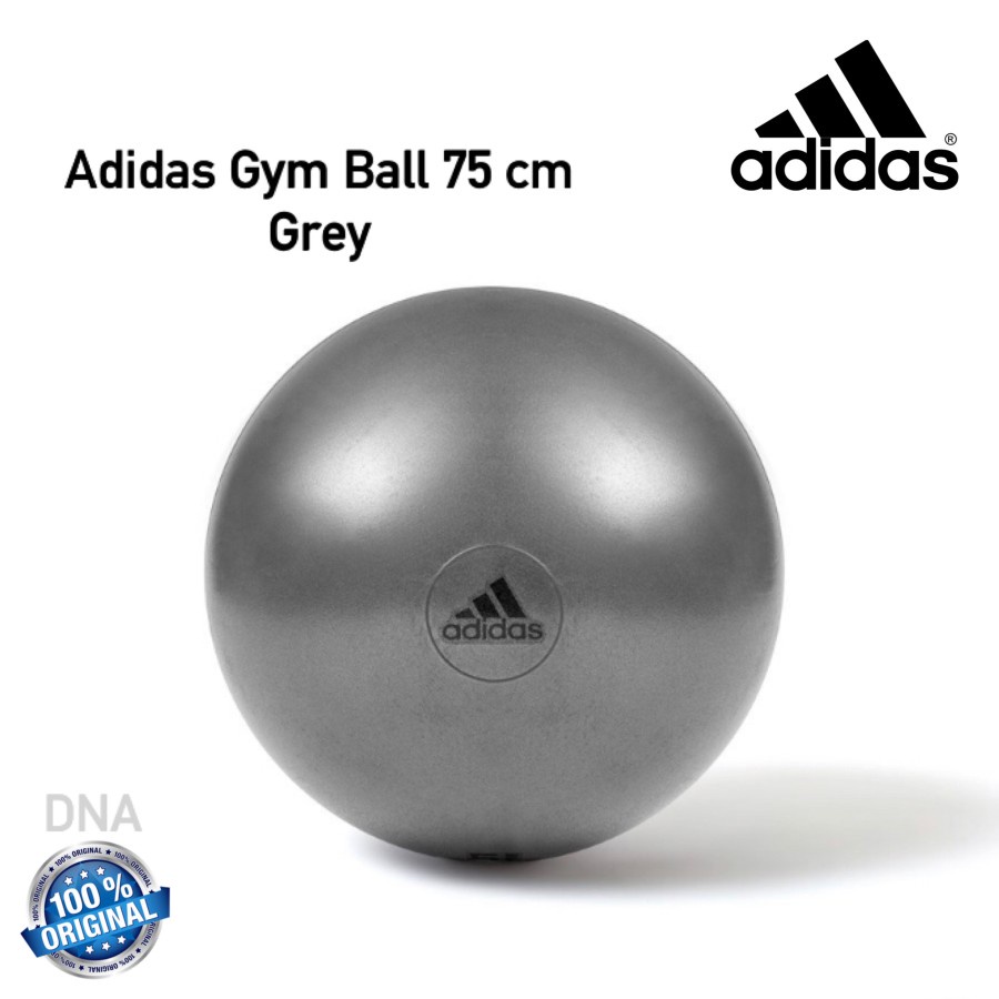 Jual Exercise Gym Ball 75 cm / Birth Ball (Grey Colour) | Shopee Indonesia