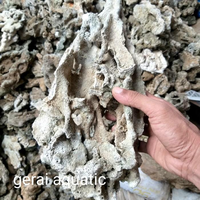 Jual Aquaka 1Karung Batu Karang Dead Rock Deadrock Aquarium | Shopee ...