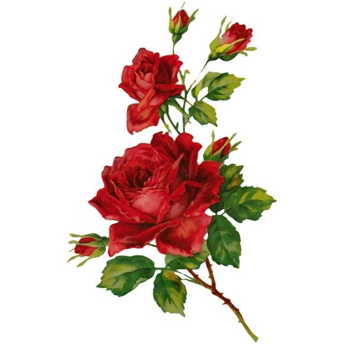 Jual hiasan dinding lukisan cetak bunga mawar merah plus FIGURA ukuran ...