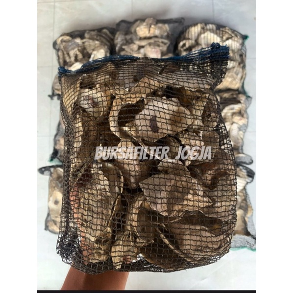 Jual Oyster Kemasan Waring 1kg Media Filter Kolam | Shopee Indonesia