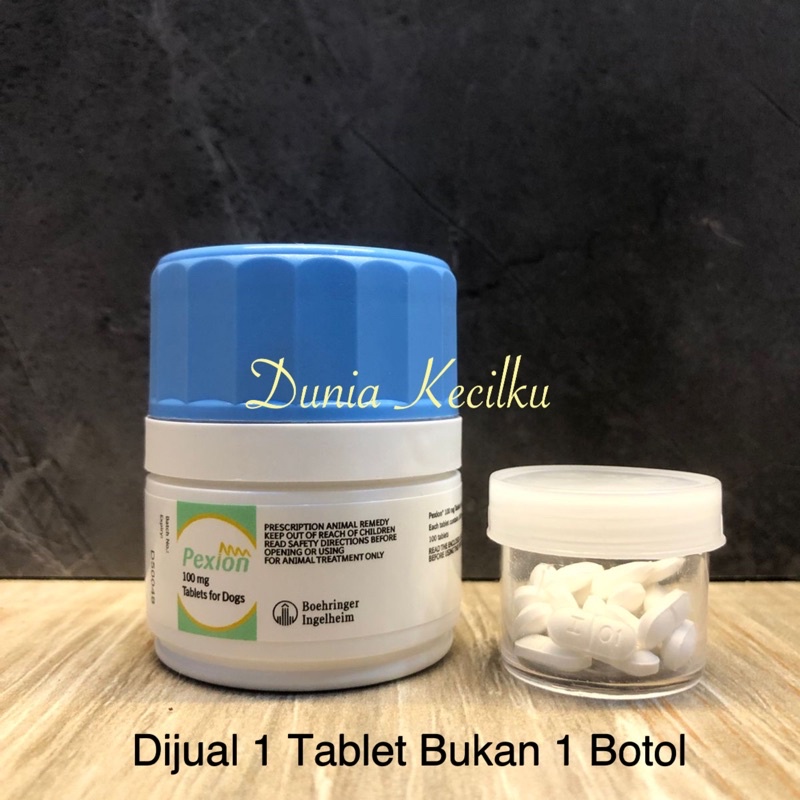 Jual Pexion Tablet 100mg Anti Epilepsi / Seizure Anjing (1 TABLET ...